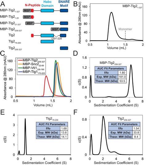 Figures And Data In The Sec1 Munc18 Protein Vps45 Holds The Qa Snare Tlg2 In An Open