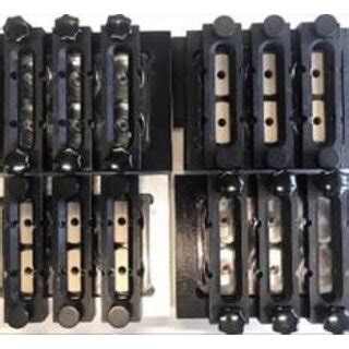 In Vitro Model To Seed Cells On PCL Films Custom In Vitro Model To Download Scientific Diagram