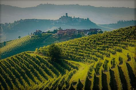 Github Rtogncsc4850 Machine Learning Assignmenttwo Repo For