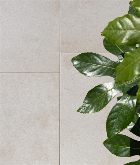 Moleanos Limestone With Fossils Nigel Belcher Stone Paving