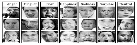 development of real time landmark based emotion recognition cnn for