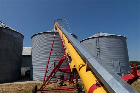 Using Grain Storage Silos For Maximum Efficiency — Wall Grain Handling ...