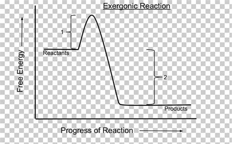 Exergonic Reaction Exergonic Process Chemical Reaction Spontaneous