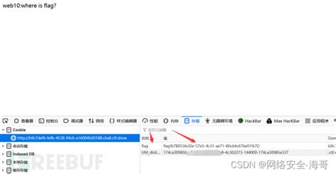 从0开始学web之信息收集where Is Flag Csdn博客