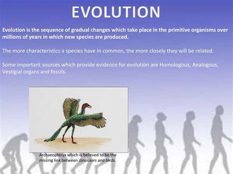 Heridity And Evolution Biology Class 10 Cbse Ppsx Reproductive