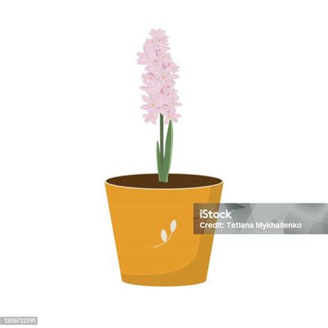 오렌지 화분에 분홍색 히아신스 잎이 있는 봄 꽃 흰색 배경에 격리된 요소입니다 카드 배너 포스터의 디자인을 위해 벡터 그림입니다