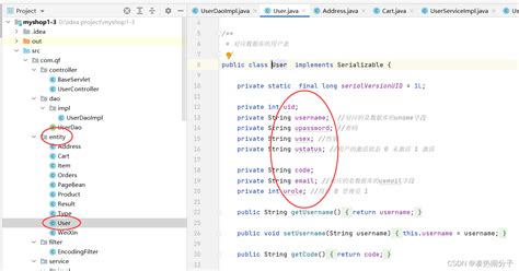 Javaweb项目实战myshopjava Idea Myshop Csdn博客