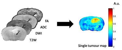 Schematic Showing The Voxel By Voxel Analysis Method Used To Download Scientific Diagram