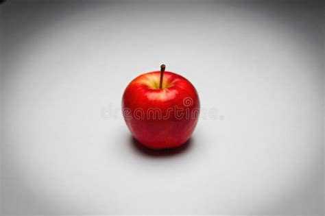 Perfect Bite Marks Stock Illustrations 142 Perfect Bite Marks Stock