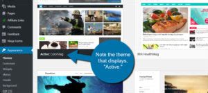 How To View And Edit WordPress Theme Files GreenGeeks