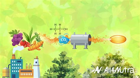 Green Extraction Of Plant Antioxidants Supercritical Methods And Industrial Applications A