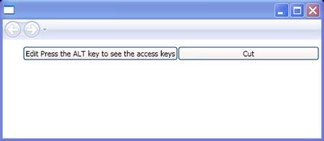 AccessText Windows Presentation Foundation VB Net Tutorial
