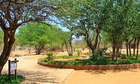 Kaoko Bush Lodge Explore Damaraland Wilds ️ Viatu Travel