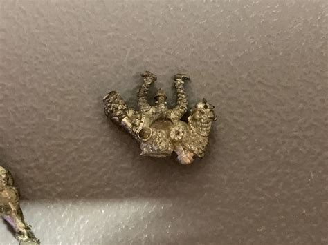 A6388 Warhammer Fantasy Aos Chaos Egrimm Van Horstmann Metal Incomplete