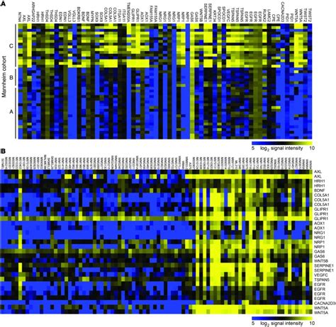Wnt5a Enhances Resistance Of Melanoma Cells To Targeted Braf Inhibitors