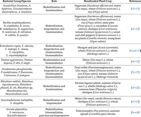 Examples Of Plant Growth Promoting And Biocontrol Rhizobacteria As Well Download Scientific