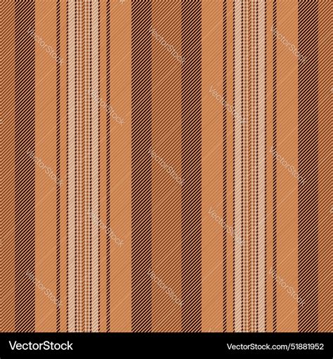 Setting Stripe Fabric Lines Packaging Pattern Vector Image