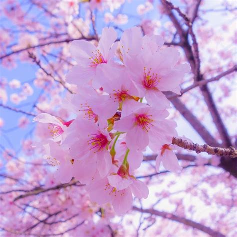 Счастье рядом Youtube