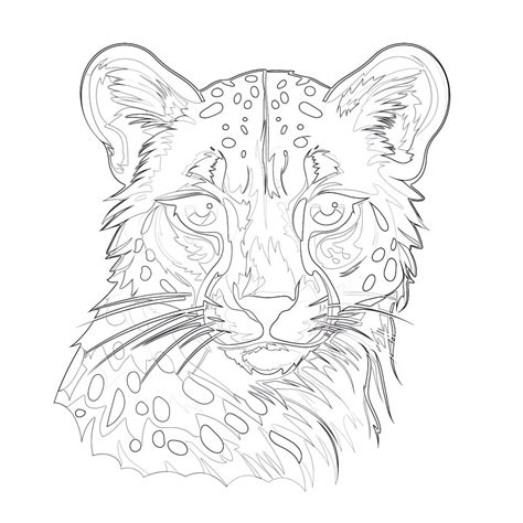 Cheetah Face Coloring Page Coloring Pages Mimi Panda