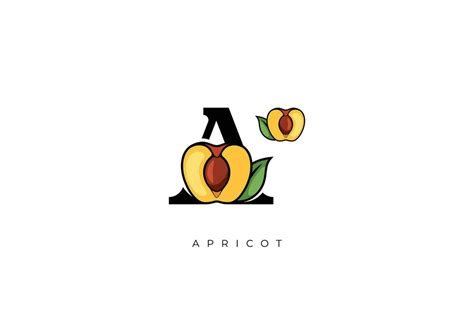 Fruit Vector Apricot 29097709 Vector Art At Vecteezy