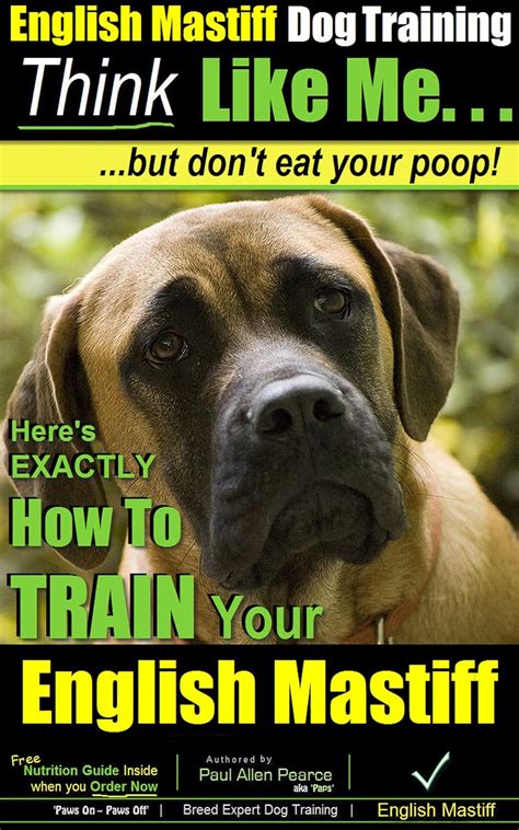 English Mastiff Dog Training Aaa Akc Think Like A Me But Dont Eat
