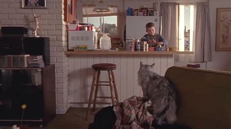 Bryan Cranston Malcolm In The Middle Underwear