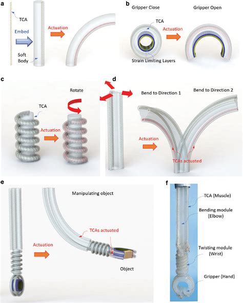 Figure 1 From Twisted And Coiled Actuators With Free Strokes Enable Soft Robots With