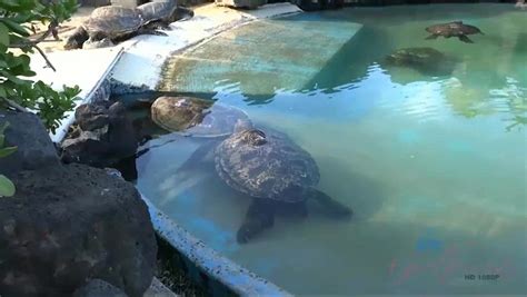 Skye West Gulps Down Your Load