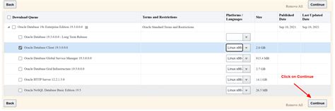 how to download oracle 19c client