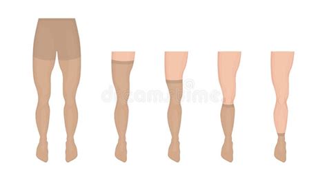 Compression Stockings And Tights Showing Different Levels Of