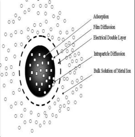 Different Model Of Adsorbent Adsorbate Interaction Adsorbate Download Scientific Diagram