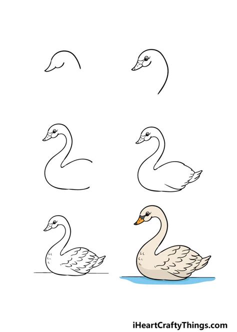 Swan Drawing How To Draw A Swan Step By Step