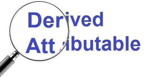 Expression Derived Is Narrower Then Attributable To U S IA