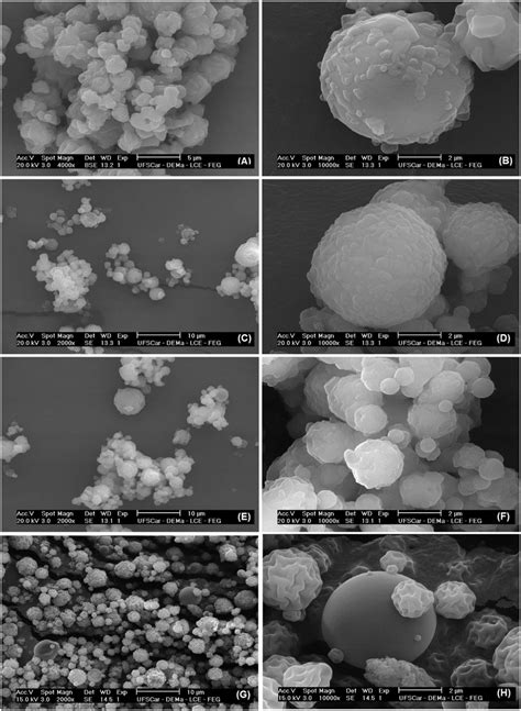 Electron Micrographs Obtained By Sem For The Morphological Analysis Of
