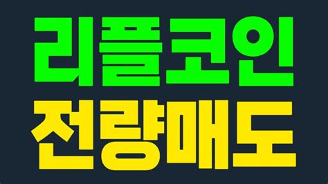 리플 끝났네요 Youtube