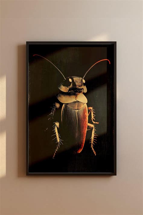Vintage Cockroach Wall Art Print 1920s Italian Poster Style Etsy