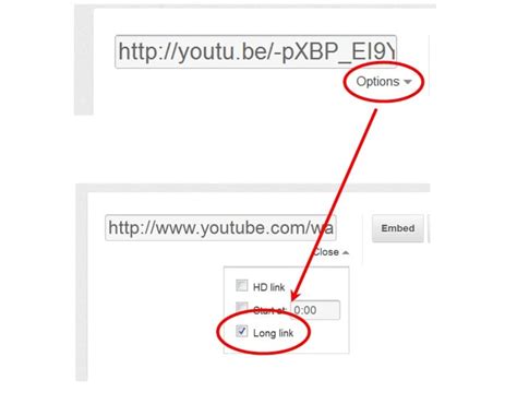 Add Youtube Video To Wordpress A Step By Step Guide