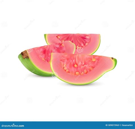 Realismo De Guayabas Tropicales Maduras 3 D Ilustración Del Vector Ilustración De Delicioso