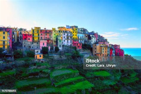 친퀘테레 국립공원의 코르닐리아 마을 다채로운 집과 녹색 테라스가 있는 아름다운 도시 풍경 이탈리아 리구리아 지역 0명에 대한 스톡 사진 및 기타 이미지 Istock