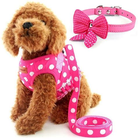 Best Harness For Cockapoo Uk At Victoria Gregory Blog