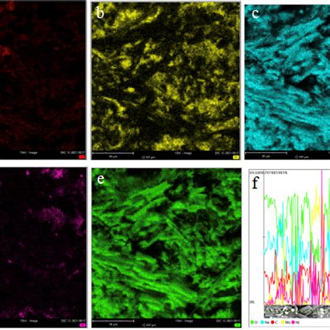 Sem Edxmapping Of The Distribution Of Elements On The Surface Of
