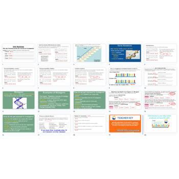 DNA Mutations By The Lesson Laboratory TPT