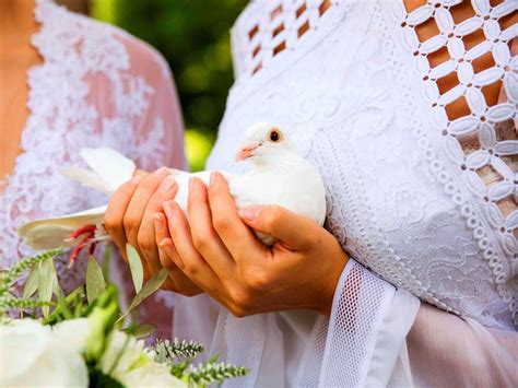What Does Releasing Doves At A Wedding Symbolize