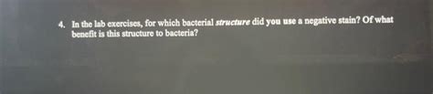 Solved 4 In The Lab Exercises For Which Bacterial Chegg Com