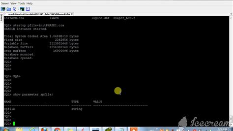 How To Switchcreate Spfile From Pfile In Oracle Database Youtube