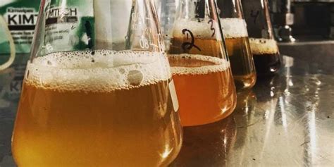 A Day In The Craft Brewery Lab Part 1 Sampling