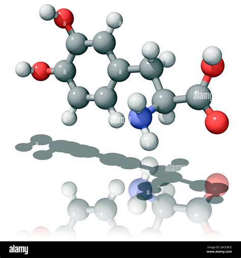 Levodopa Molecule Molecular Model Of Levodopa Or L Dopa A Drug Used