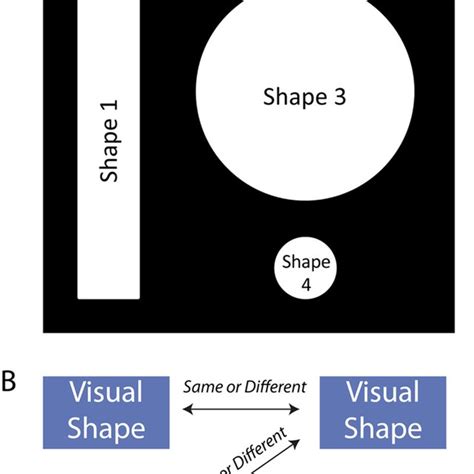 Shape Matching Task Schematics A The Shapes Tested In The Shape