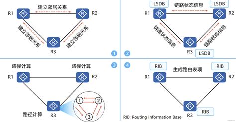 Rip、ospfrip是什么封装的 Csdn博客