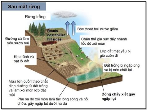 Landslide And Debris Flow